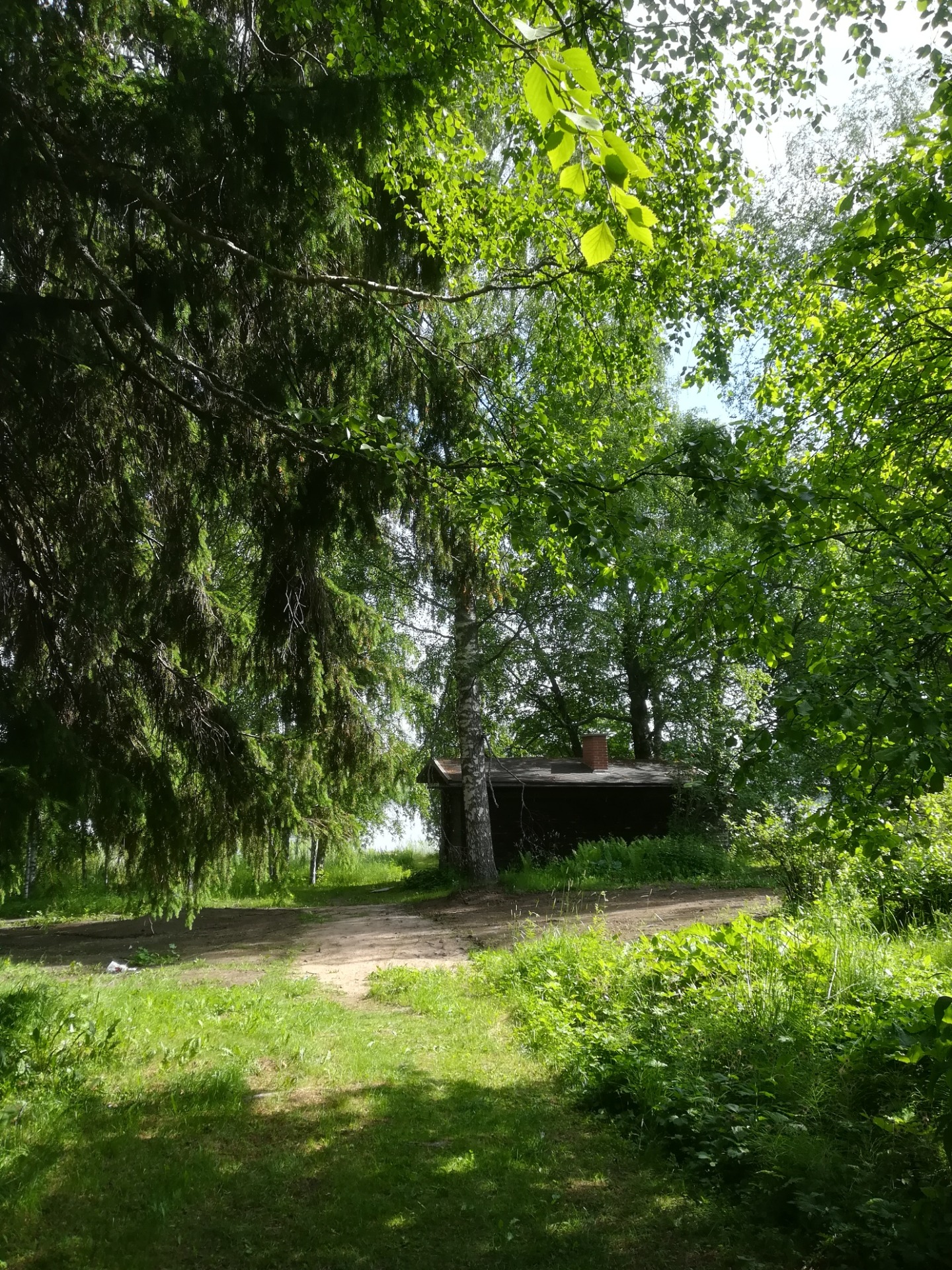 PIHAPIIRI :: Mustaniemi